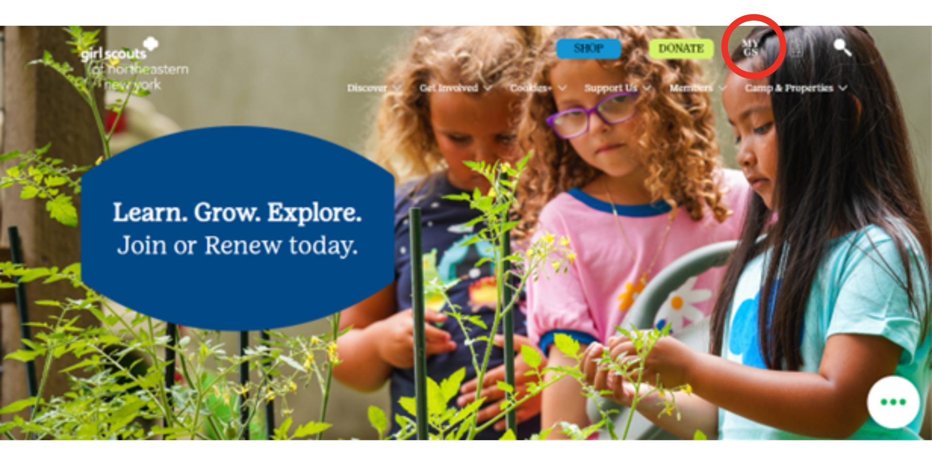 Renew Your Membership | Girl Scouts